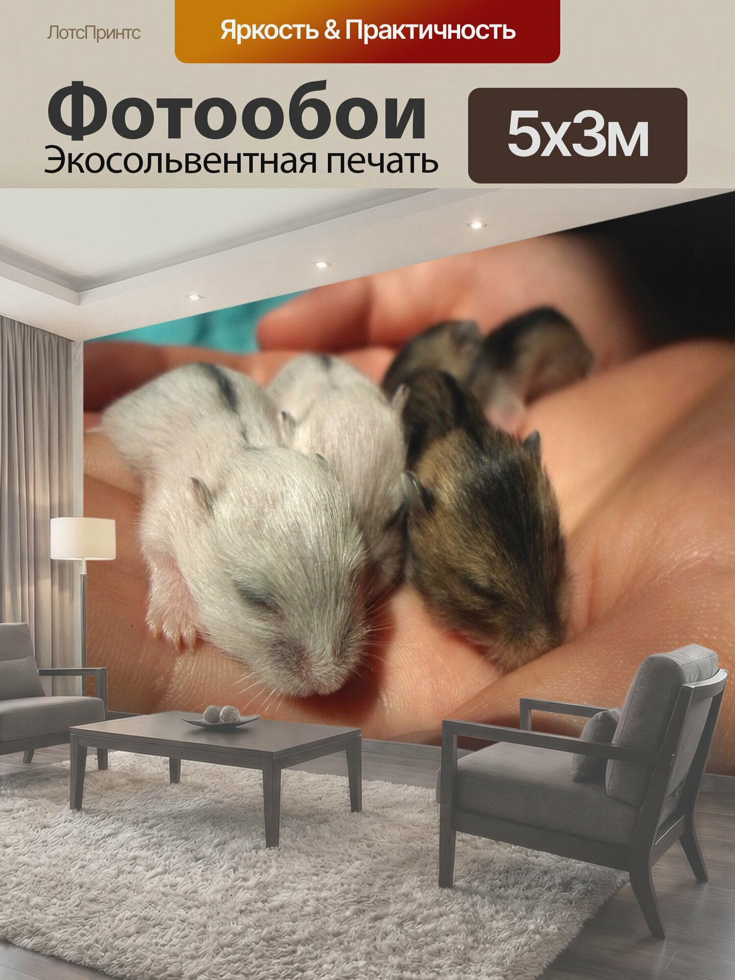 Фотообои "Хомяк пупс, хомячок, хомячок щенков" 500x300 см. экосольвентная печать