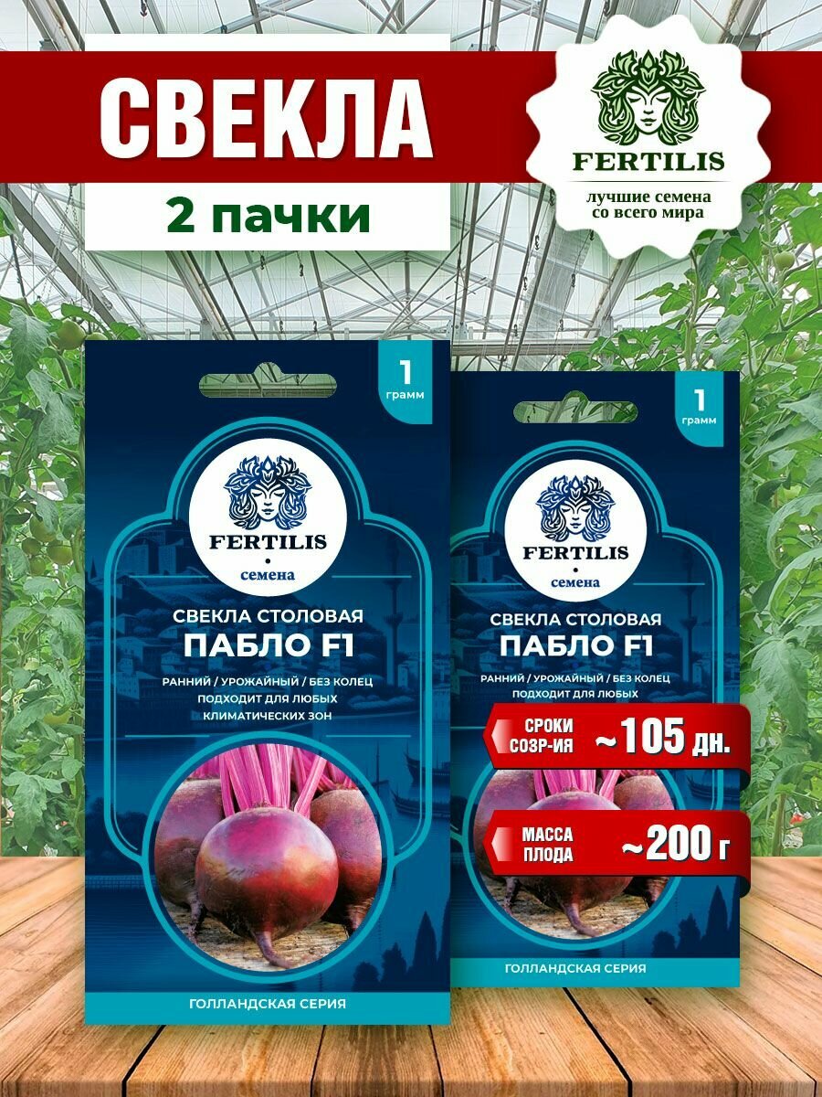 Семена урожайной свеклы Пабло F1 от компании Fertilis (2 пачки)