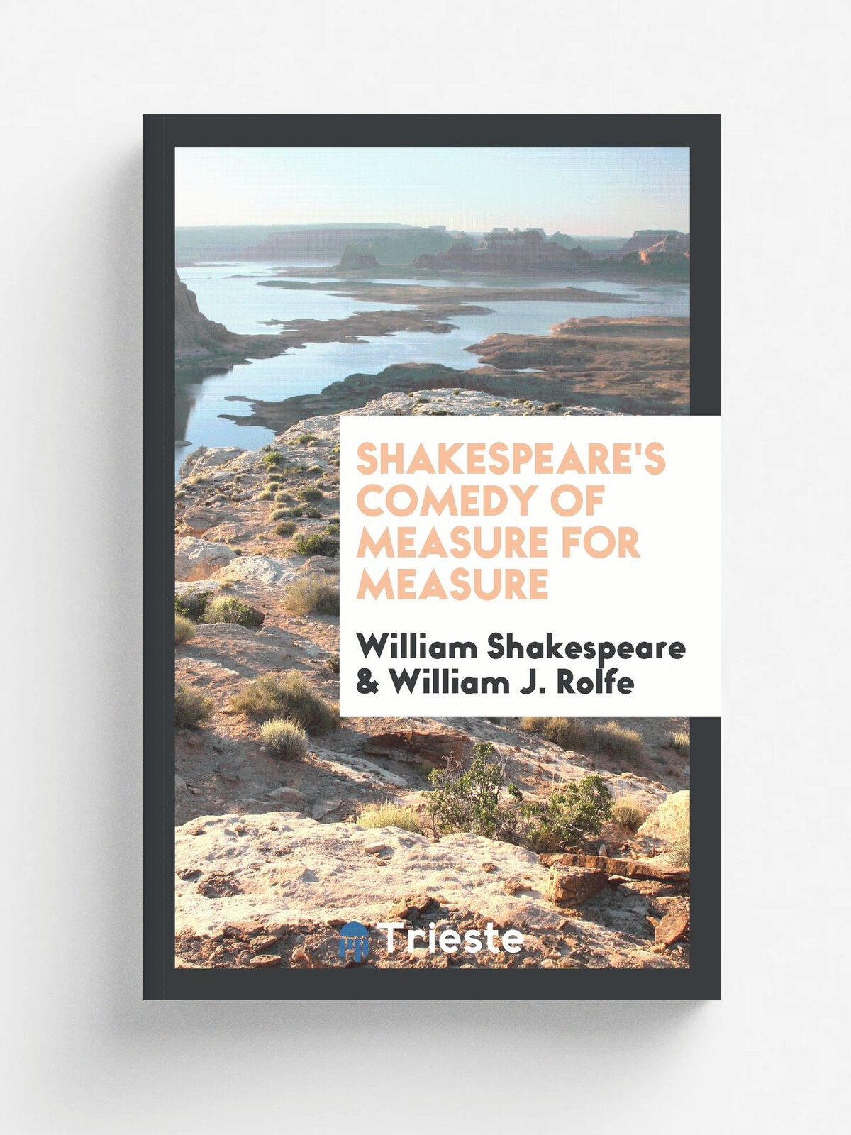 Shakespeare's Comedy of Measure for Measure
