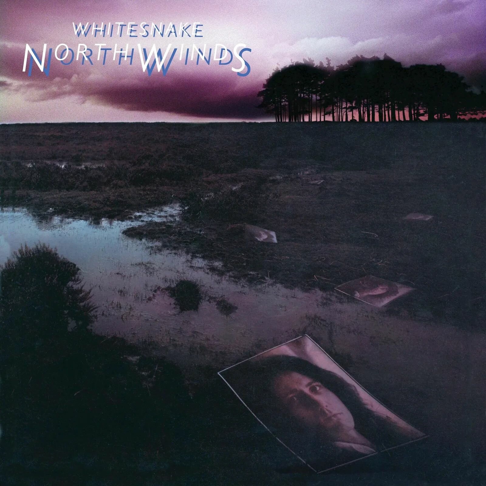 Виниловая пластинка Whitesnake Northwinds 2024