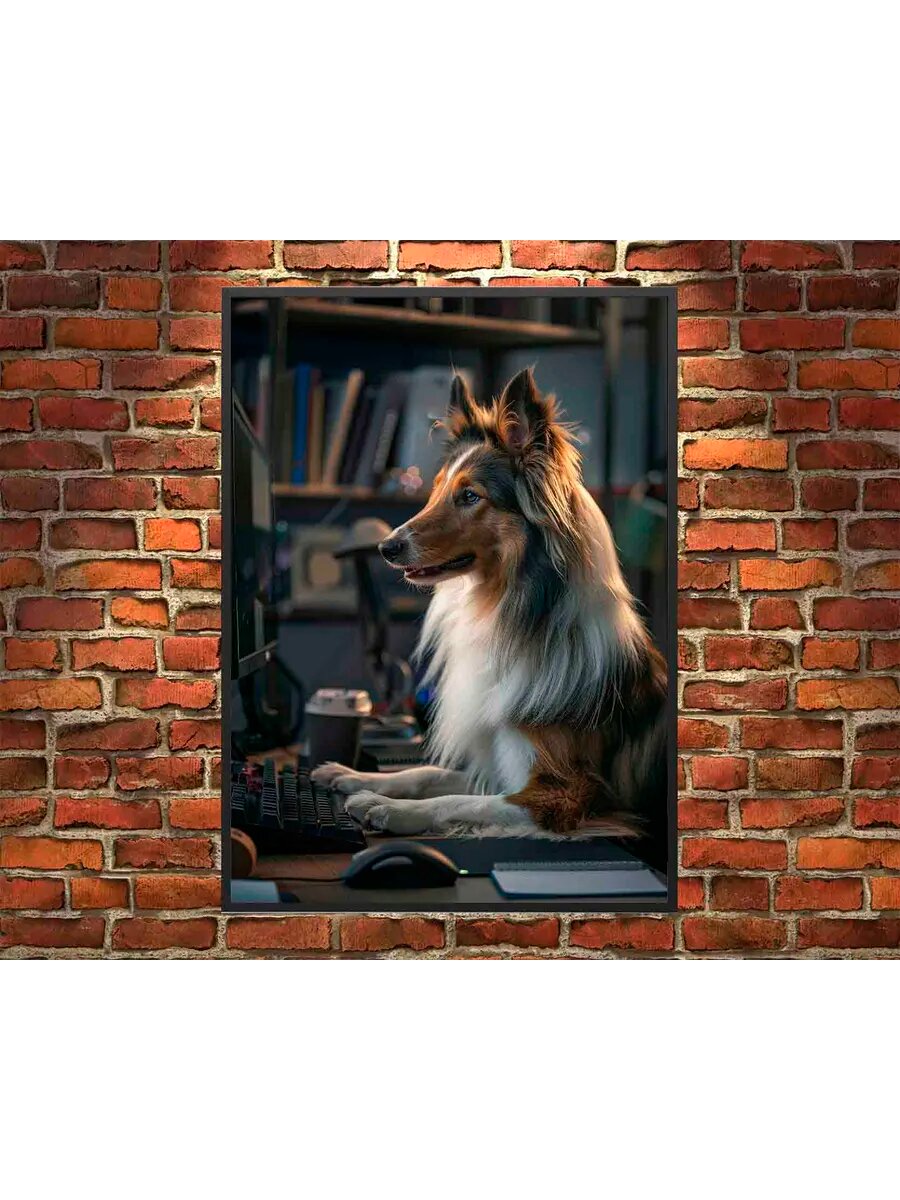 Собака-программист породы Шотландский колли 3, Плакат 30x42с