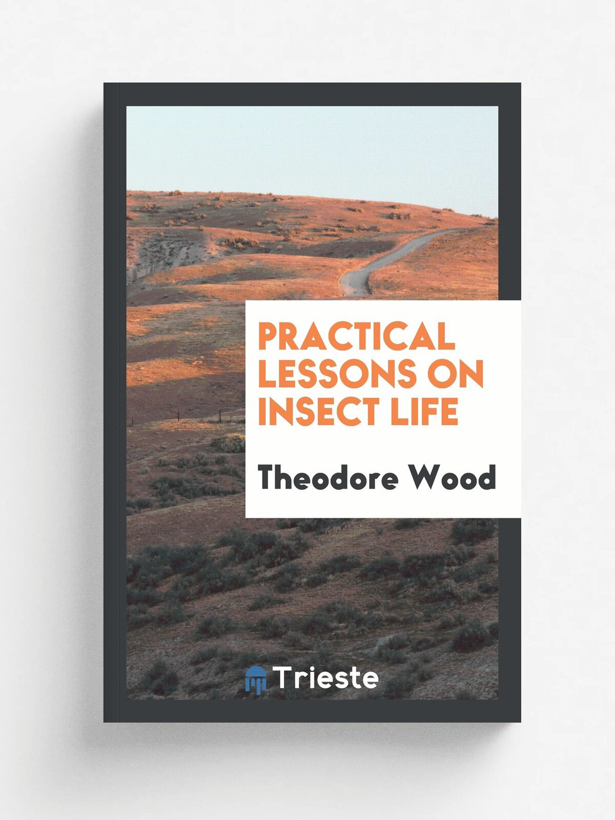 Practical lessons on insect life