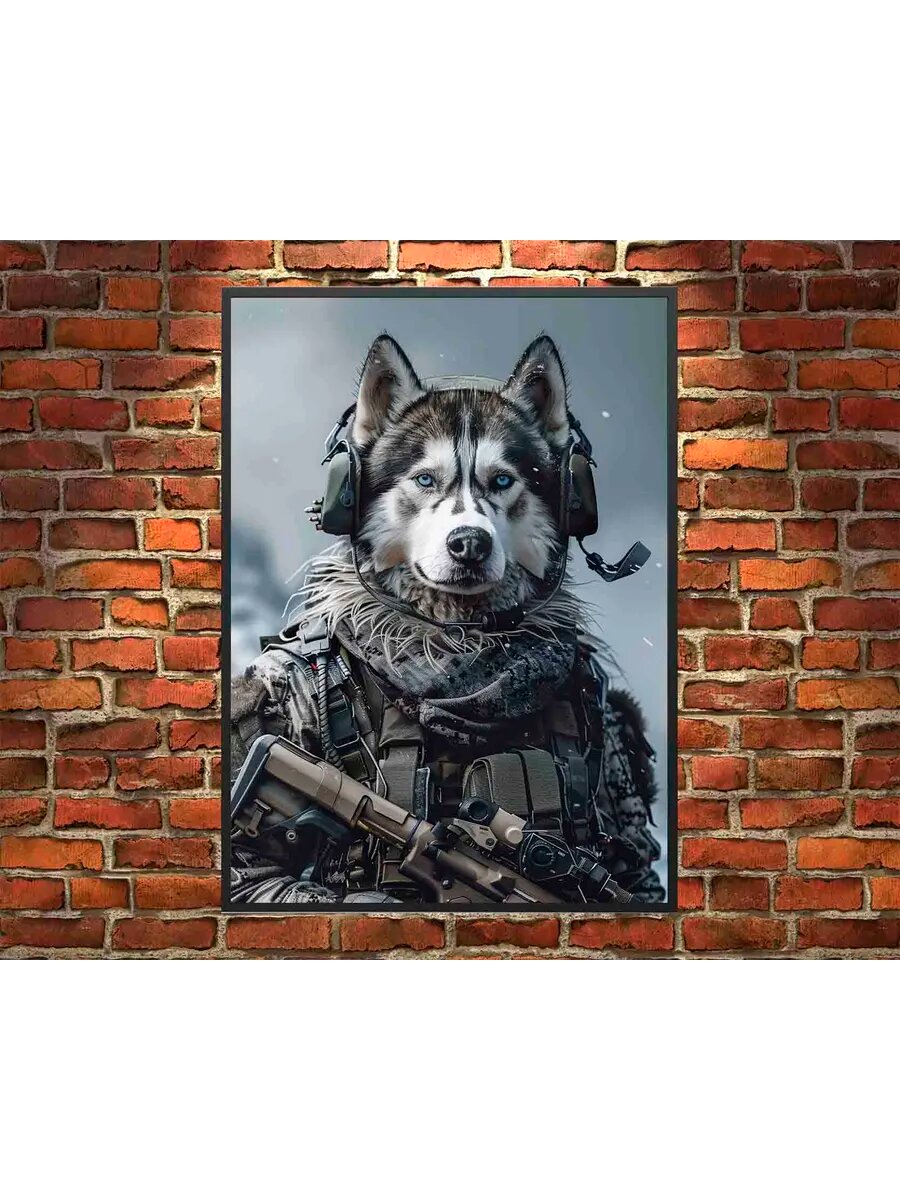 Сибирский хаски-пес-солдат 2, Плакат 30x42см