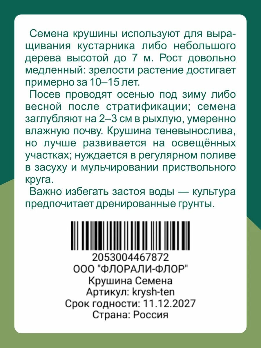 Крушина Семена — фото 1