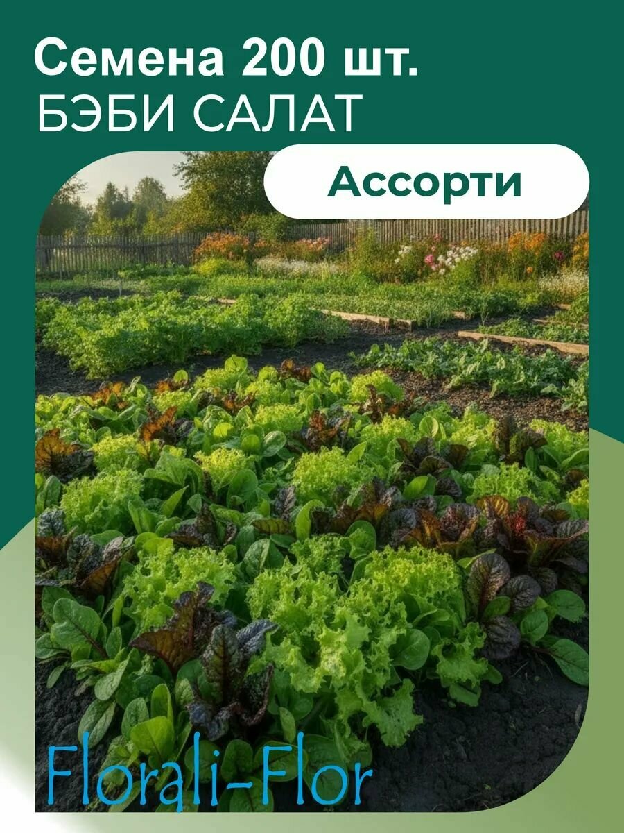 Бэби Салат Семена
