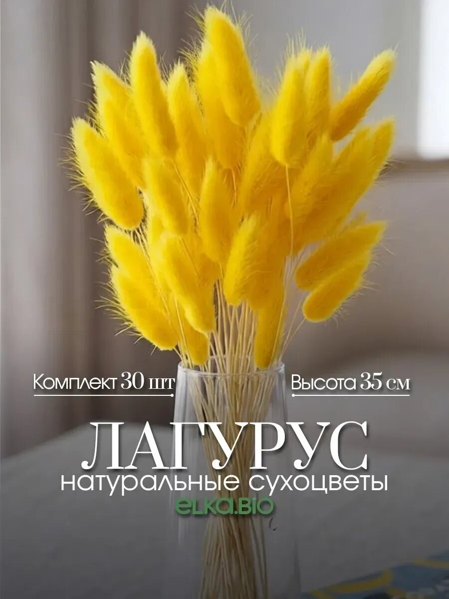 Лагурус желтый 30 шт, сухоцветы желтые для декора