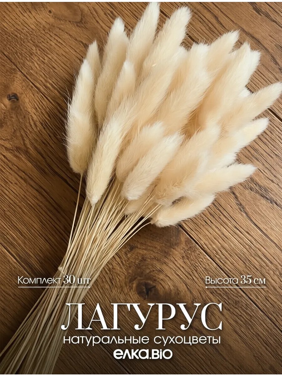 Лагурус бежевый 30 шт, сухоцветы для декора