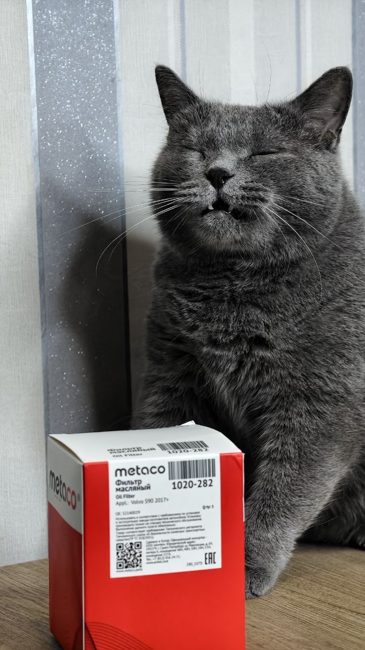 METACO 1020282 Фильтр масляный