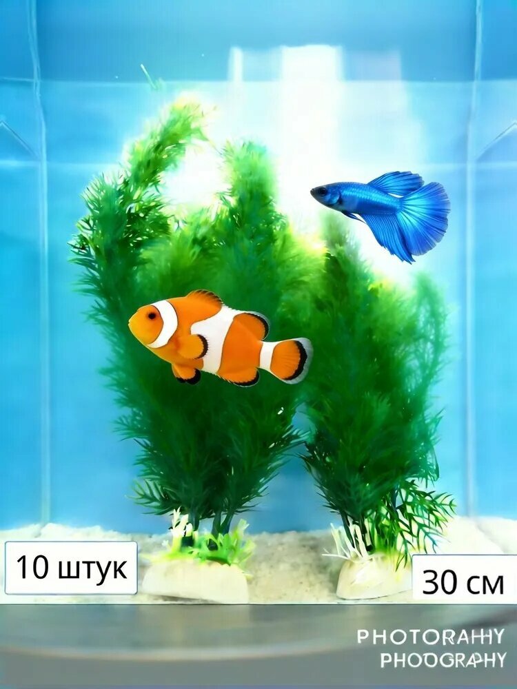 Растения для аквариума искусственные аквариумные водоросли набор 10шт