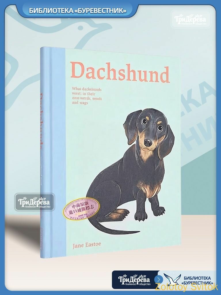 Книга "A beautifully illustrated guide to Dachshunds", 2024 г.