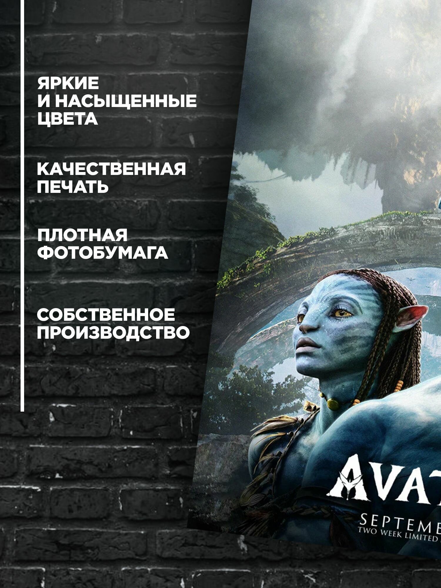 Постер на стену Аватар, Avatar — фото 1