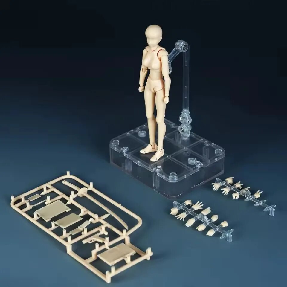 SH Figuarts Body Kun Фигурки для рисования orange female no box