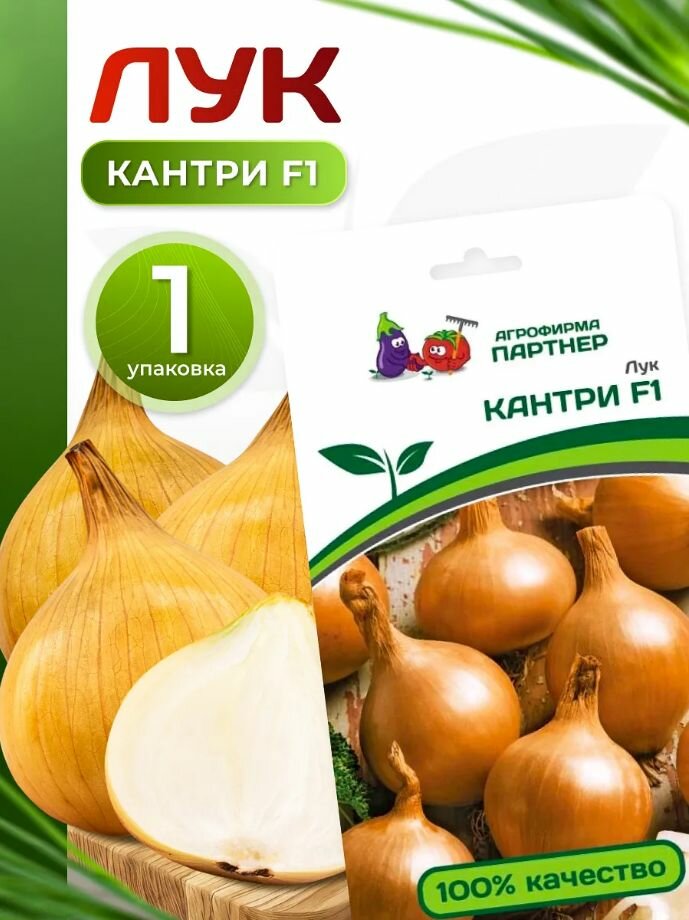 Семена лука Кантри