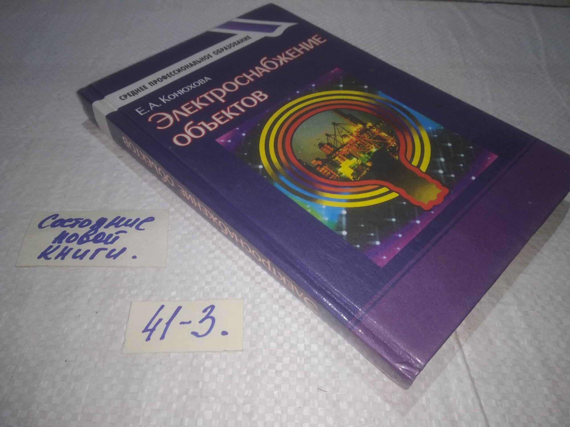 Конюхова Елена Александровна, Электроснабжение объектов