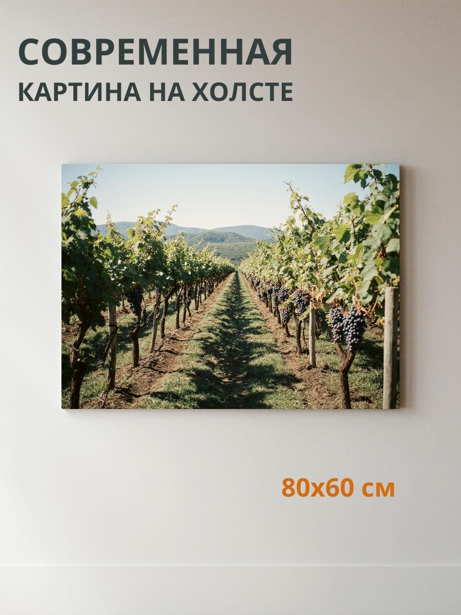 Картина на холсте Виноград 80x60 см