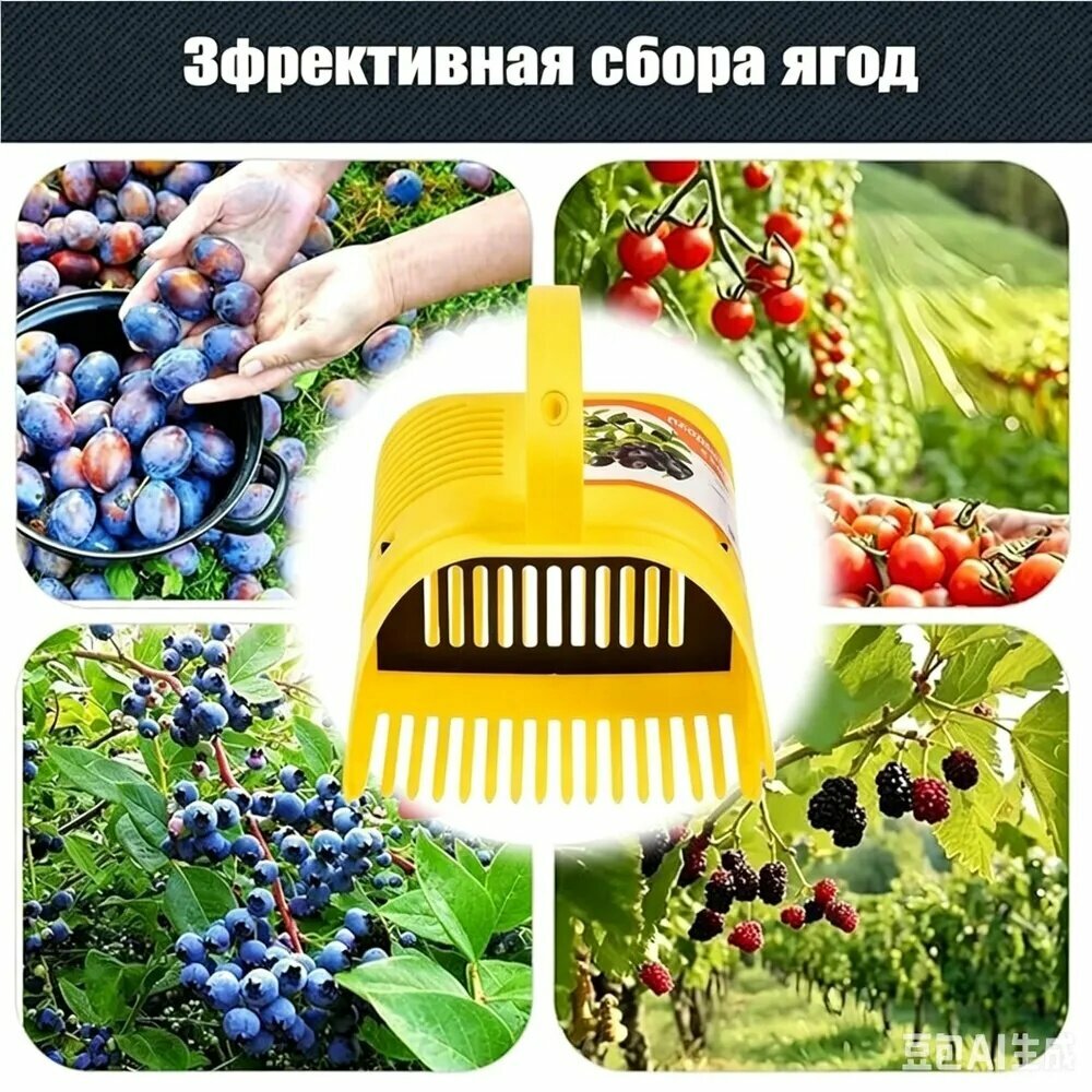 Плодосборник