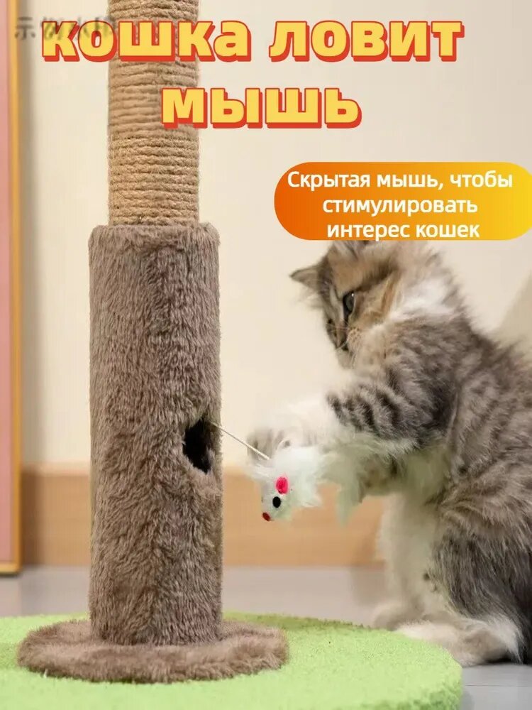 Когтеточка — фото 1