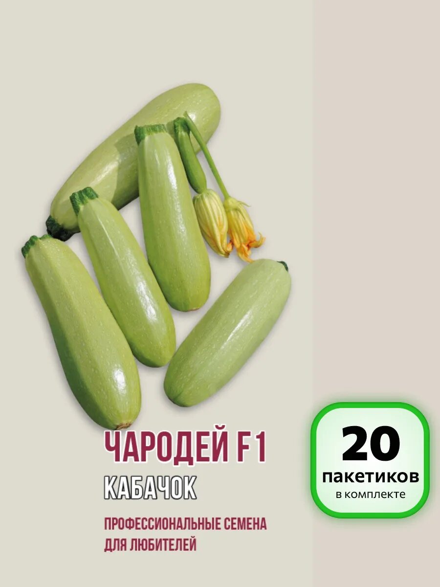 (20 шт.) - Семена Кабачок чародей F1 5шт