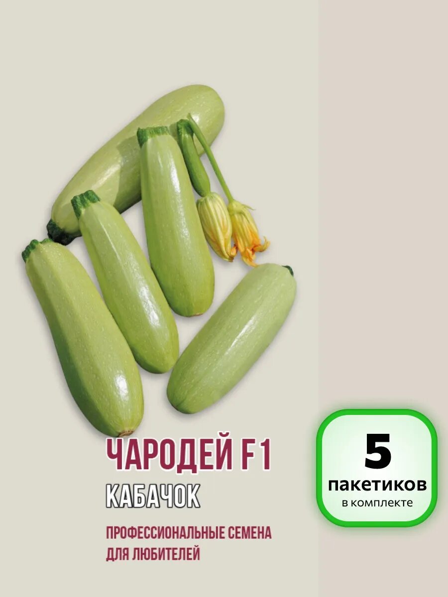 (5 шт.) - Семена Кабачок чародей F1 5шт