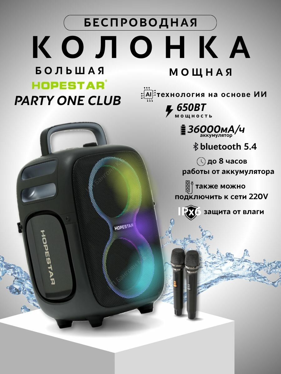 Беспроводная музыкальная колонка с микрофоном караоке PARTYONE CLUB черный