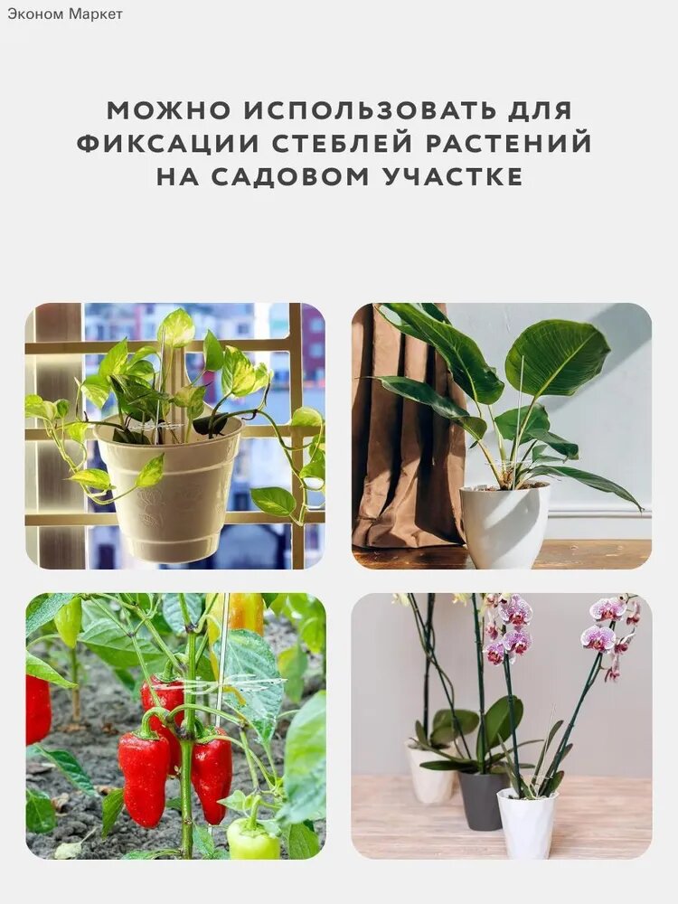 Опора для растений,4шт — фото 1