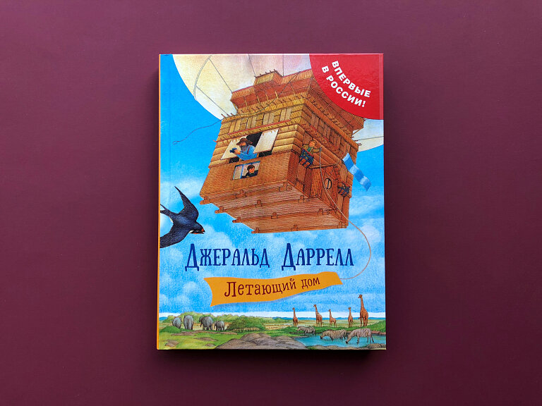 Летающий дом — фото 1