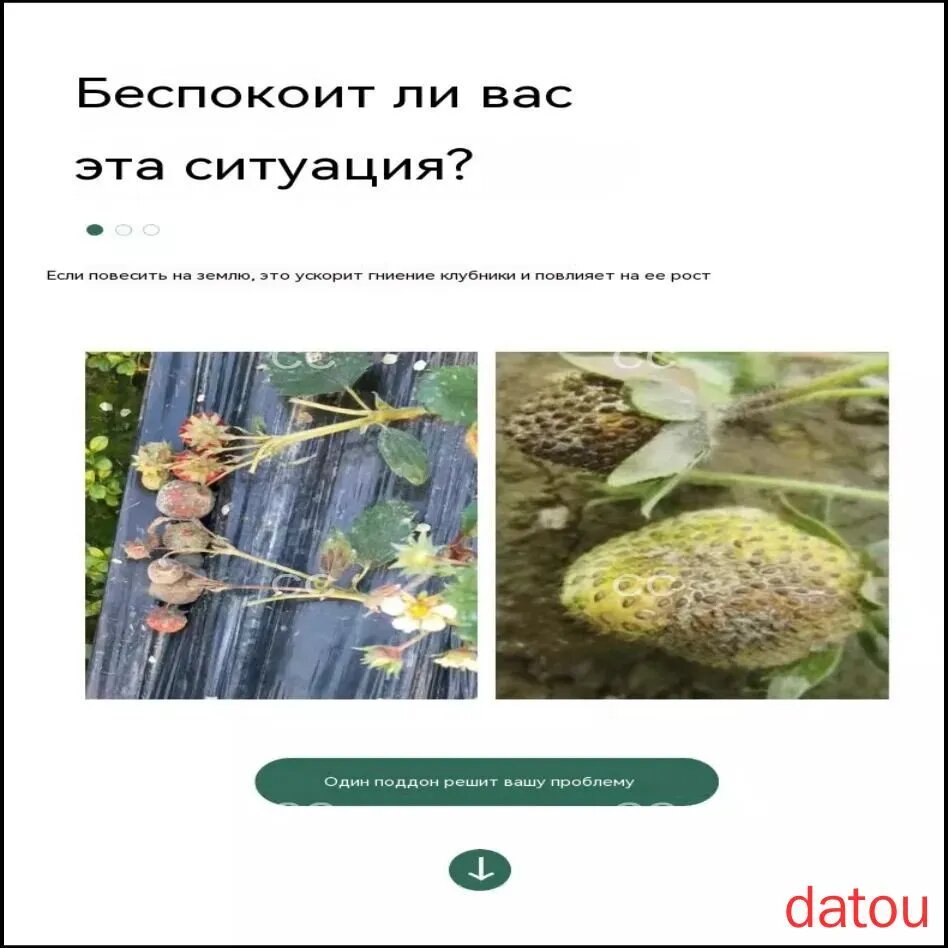 Шпалера,30.6см,10шт — фото 1