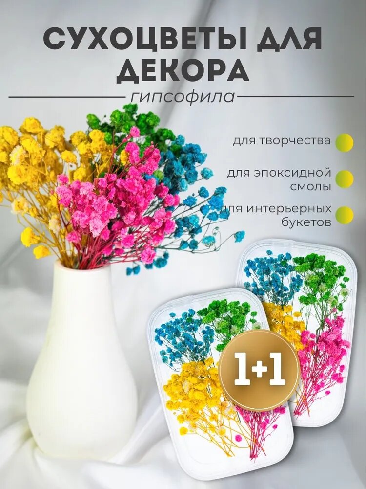 Сухоцветы Гипсофила, 2 шт