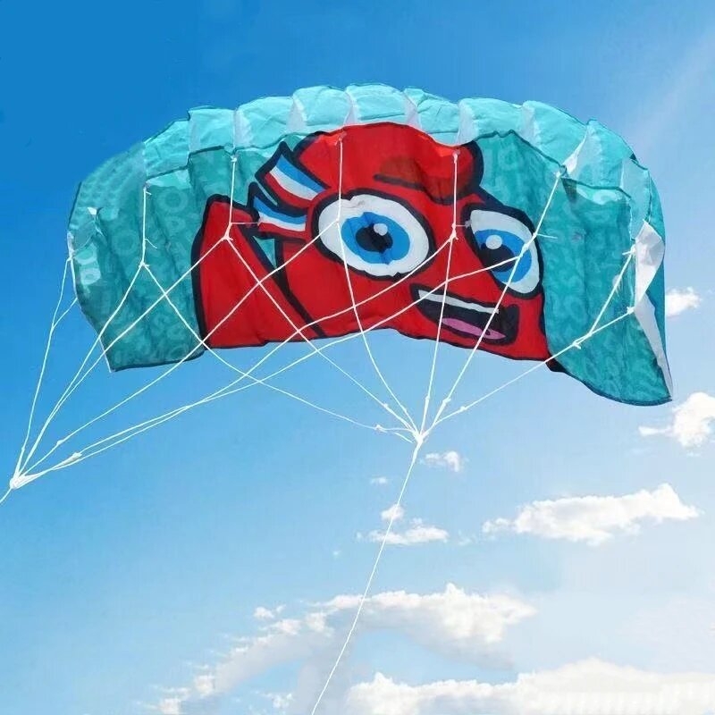 Профессиональный кайт Koi 120/140 см 120cm1