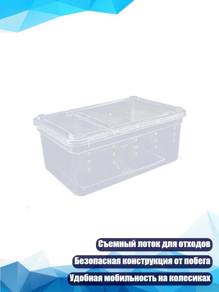 Коробка для содержания крупных ящериц, 1