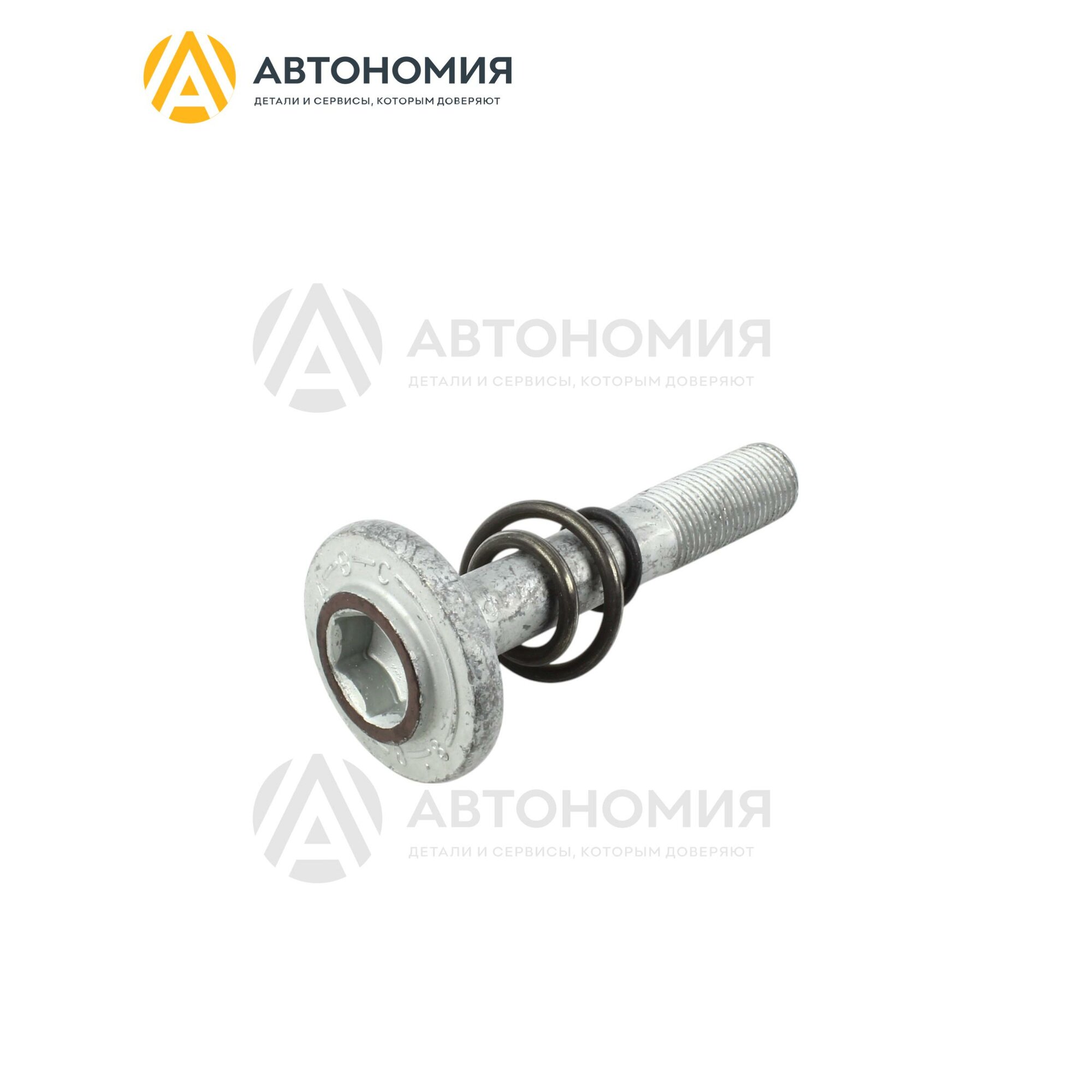 Болт с фланцем с пружиной BMW 31 20 6 799 717