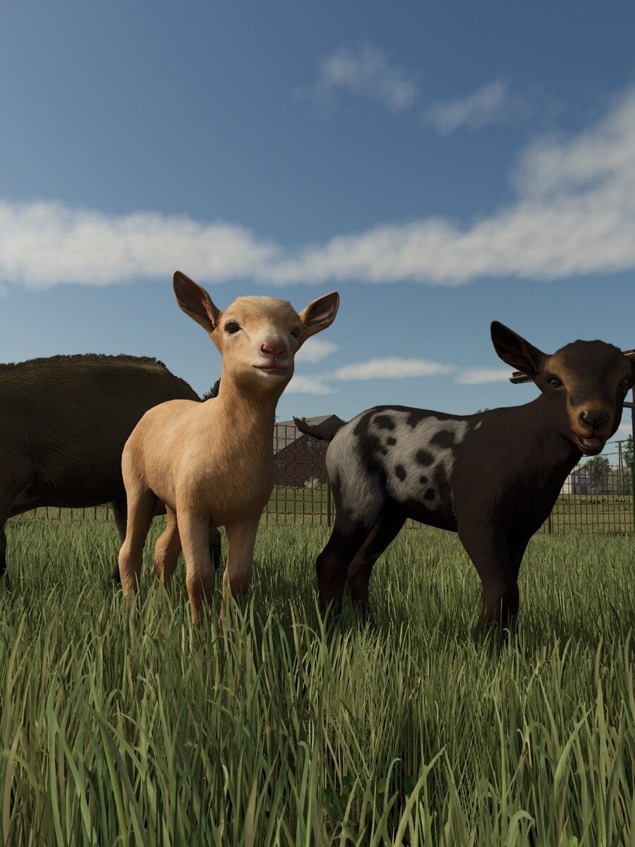 Farming Simulator 25 PS5 — PlayStation Store Индия, цифровая версия — фото 1