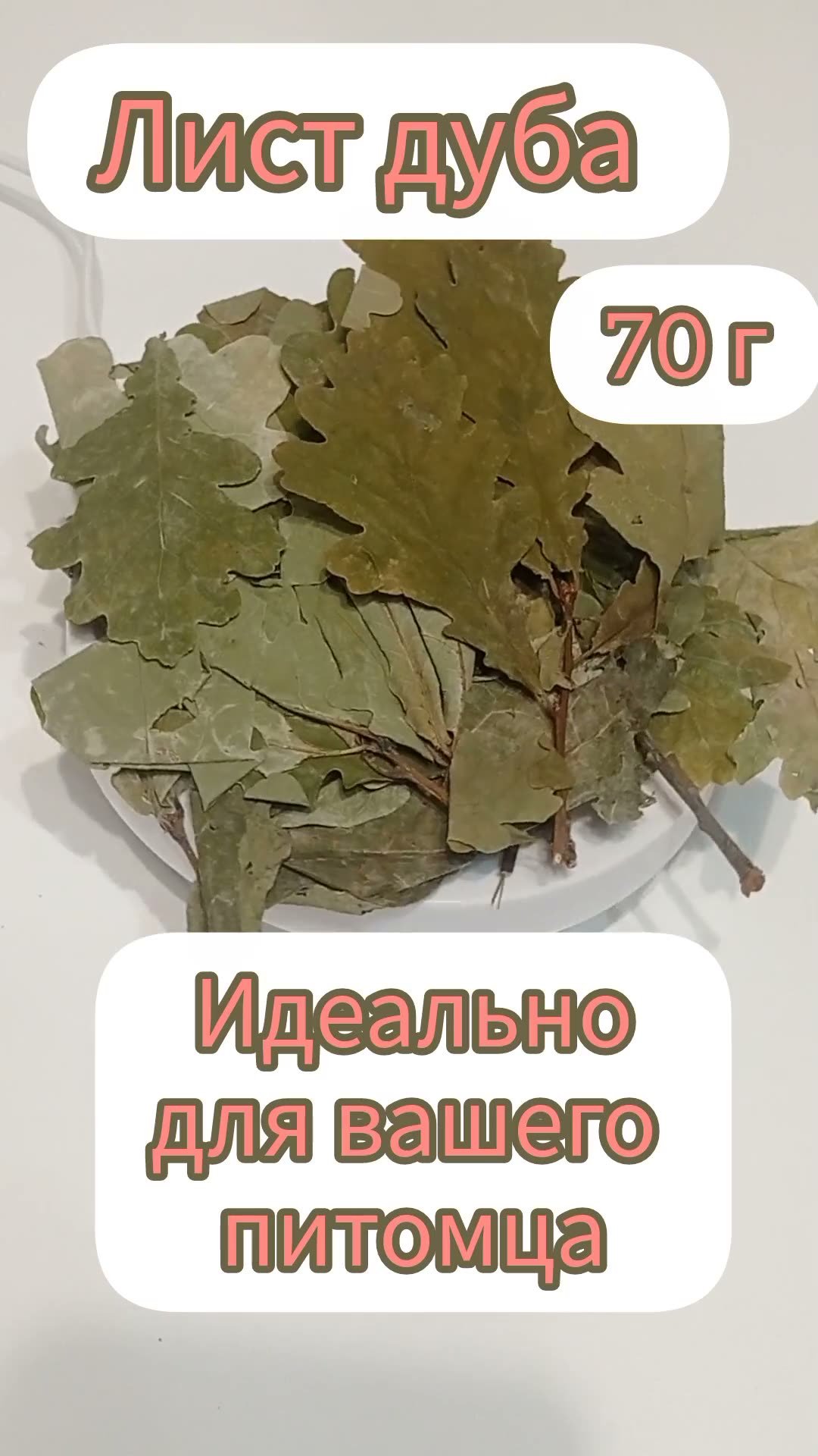 Запарка для бани — фото 1