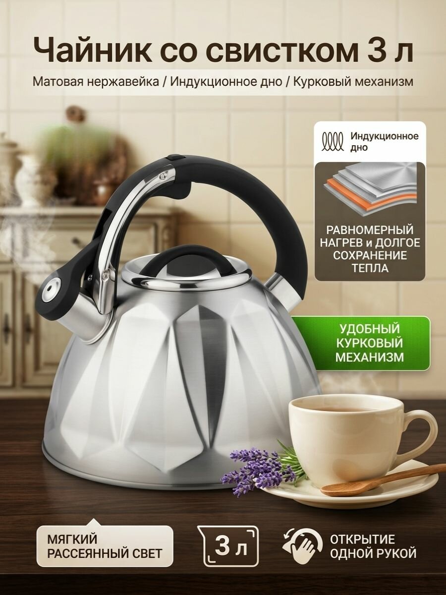 Чайник со свистком ZEIDAN Z-4544 3,0 л