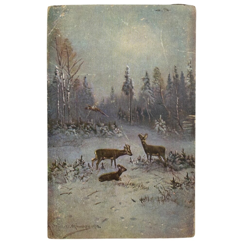 Почтовая открытка "Косули в зимнем лесу" 1900-1917 гг. Германская Империя