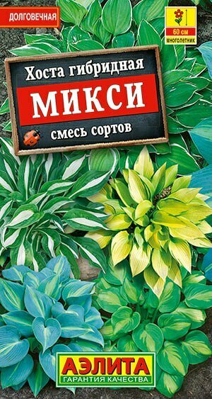 Хоста микси. Семена. Контрастная смесь долговечной декоративно-лиственной хосты. семена хосты хоста микс декоративно-лиственная хоста
