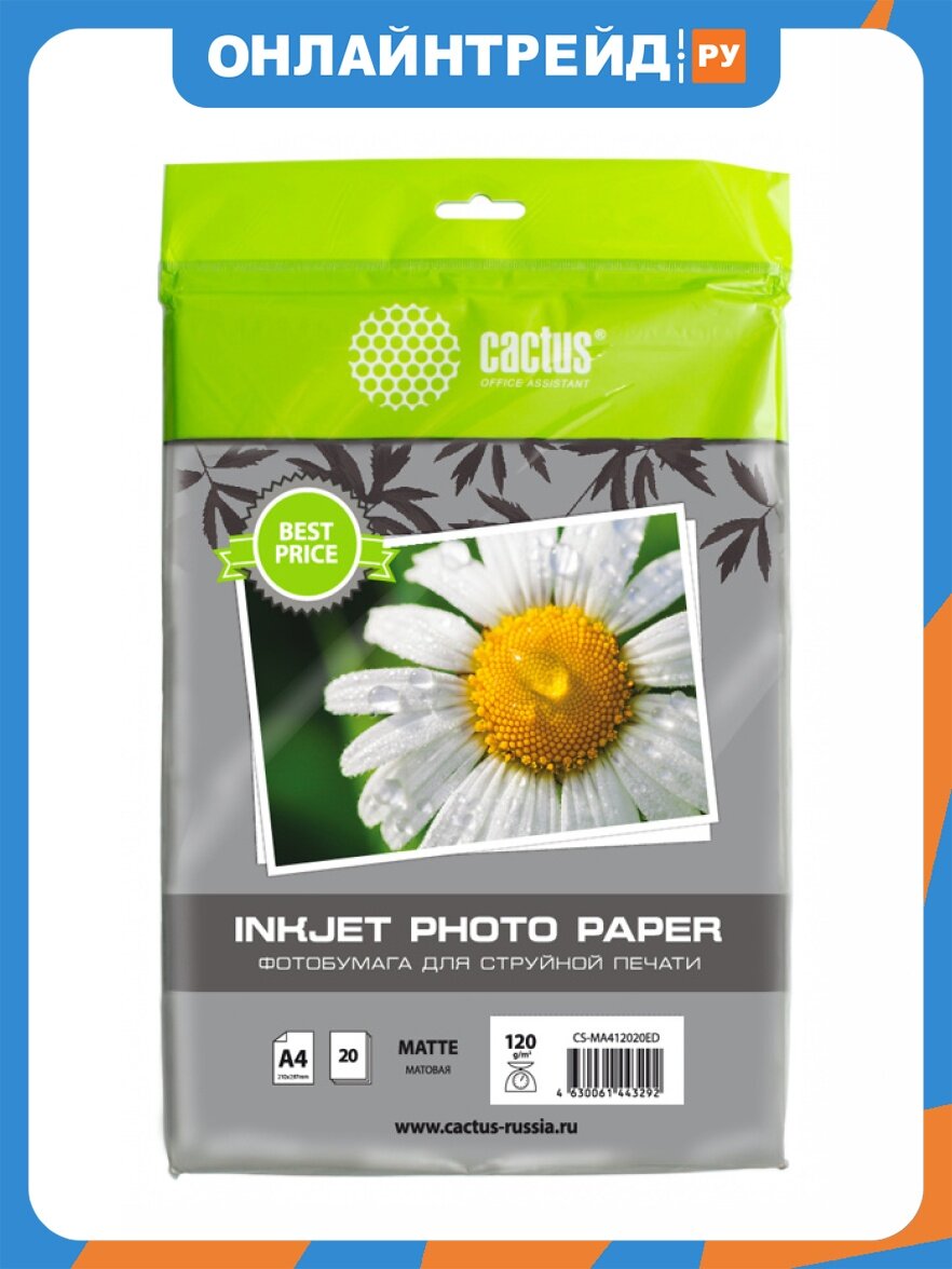 Фотобумага Cactus CS-MA412020ED A4/120г/м2/20л./белый матовое для струйной печати