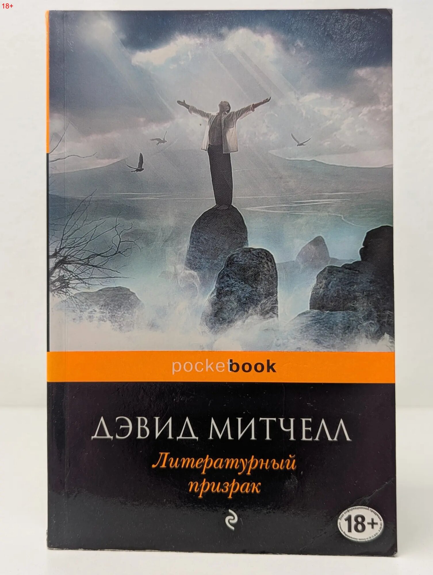 Pocket book. Литературный призрак Митчелл Дэвид Стивен 2017
