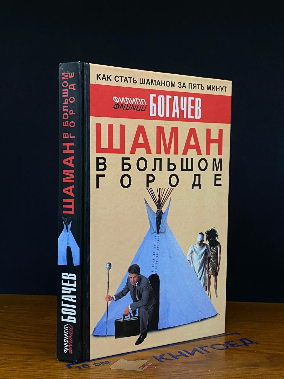 Книга. Шаман в большом городе 2006