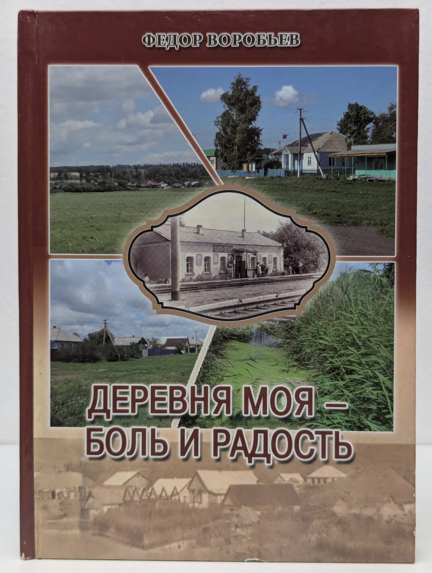 Деревня моя-боль и радость Воробьев Федор Алексеевич 2017