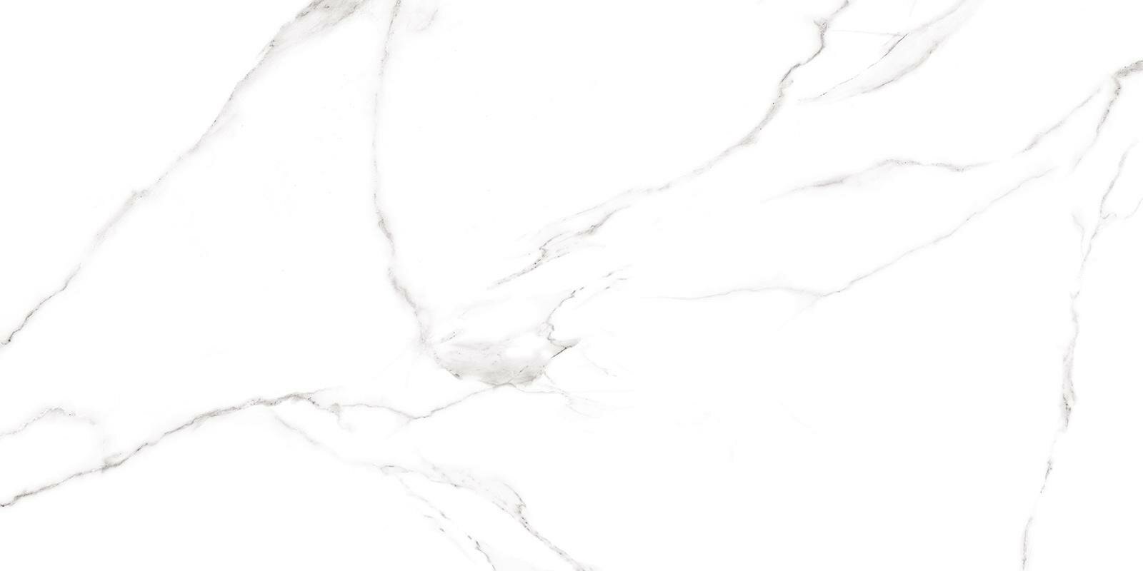 Керамогранит Alma Ceramica Каррара Carrara GFU60120CRR00R Матовый 60х120 см