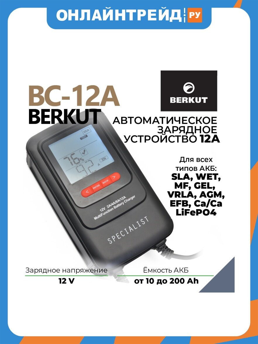 Зарядное устройство Berkut BC-12A