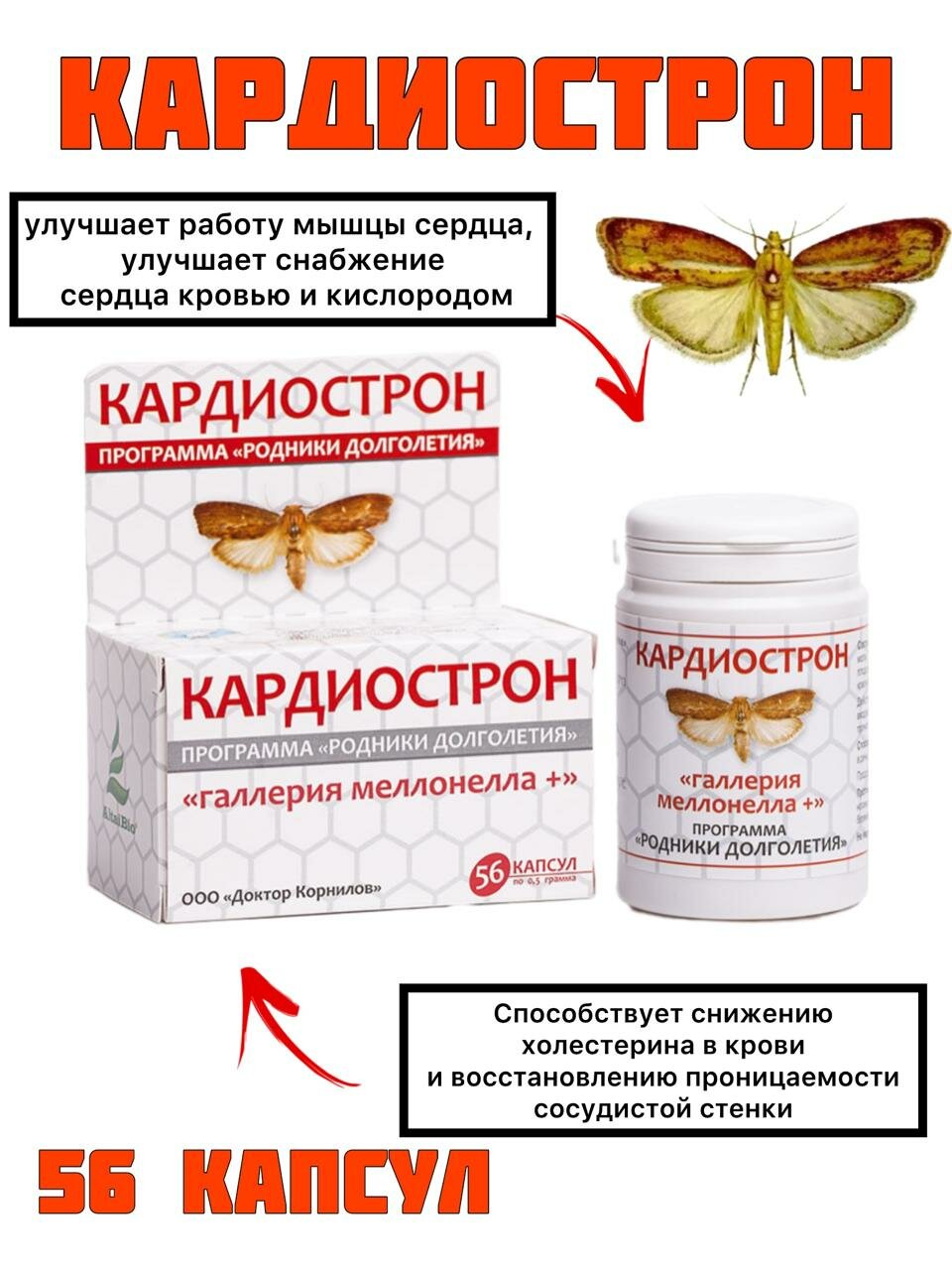 Кардиострон Галлерия меллонелла Кардио, Доктор Корнилов 56 капс