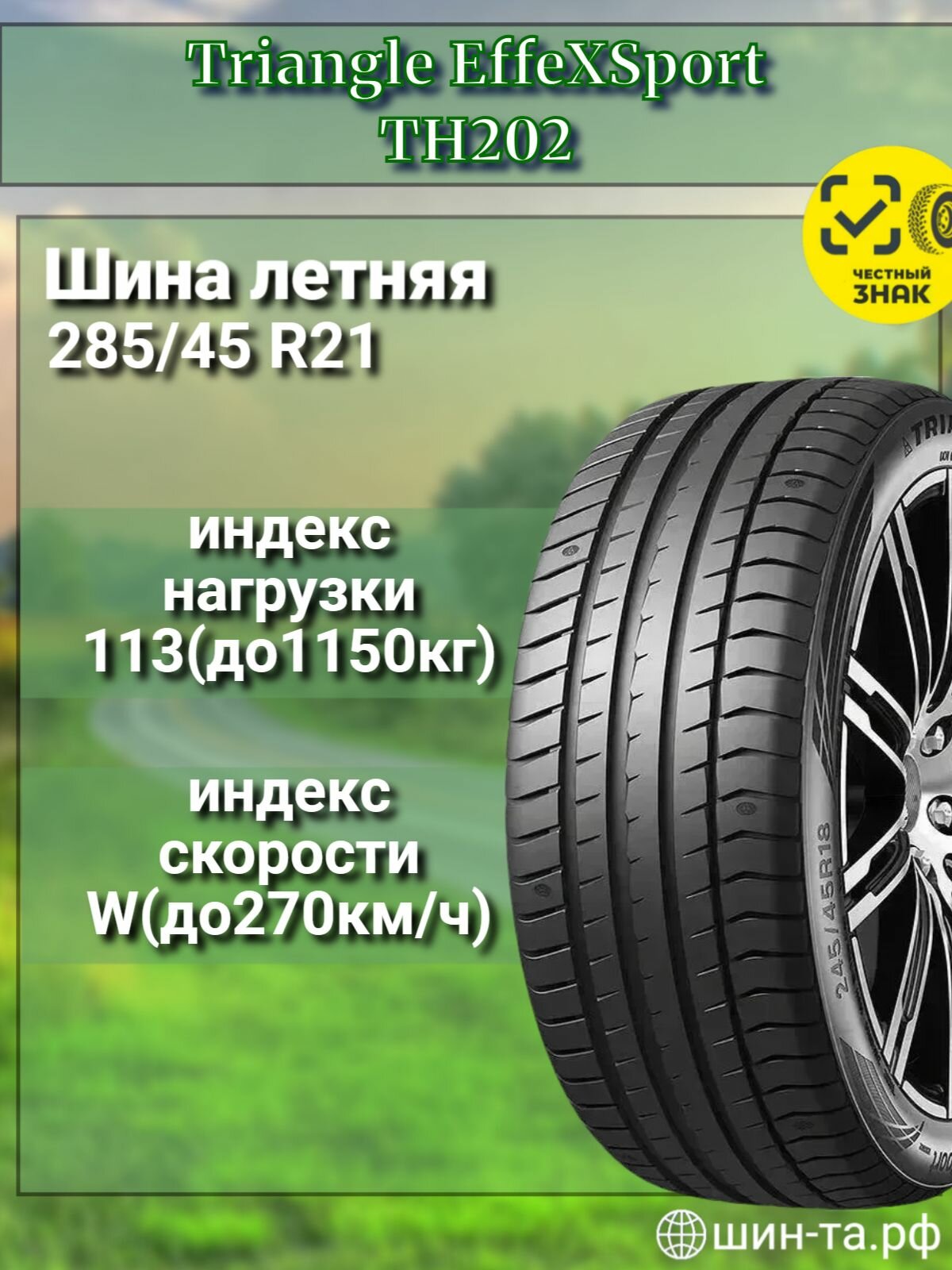 Шина легковая летняя Triangle EffeXSport TH202 285/45 R21 113 W