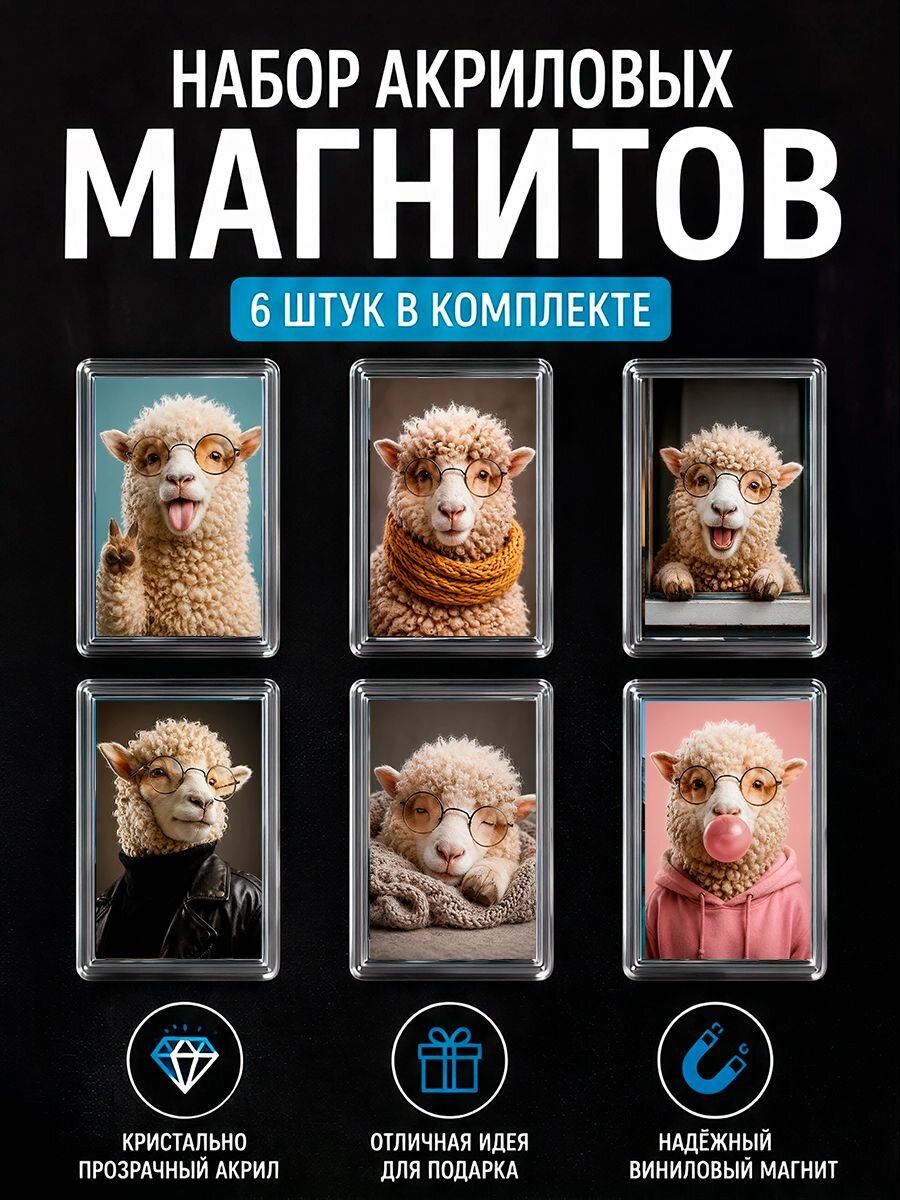 Магниты Символ года 2027, 5,2*7,7 см, 6 штук.