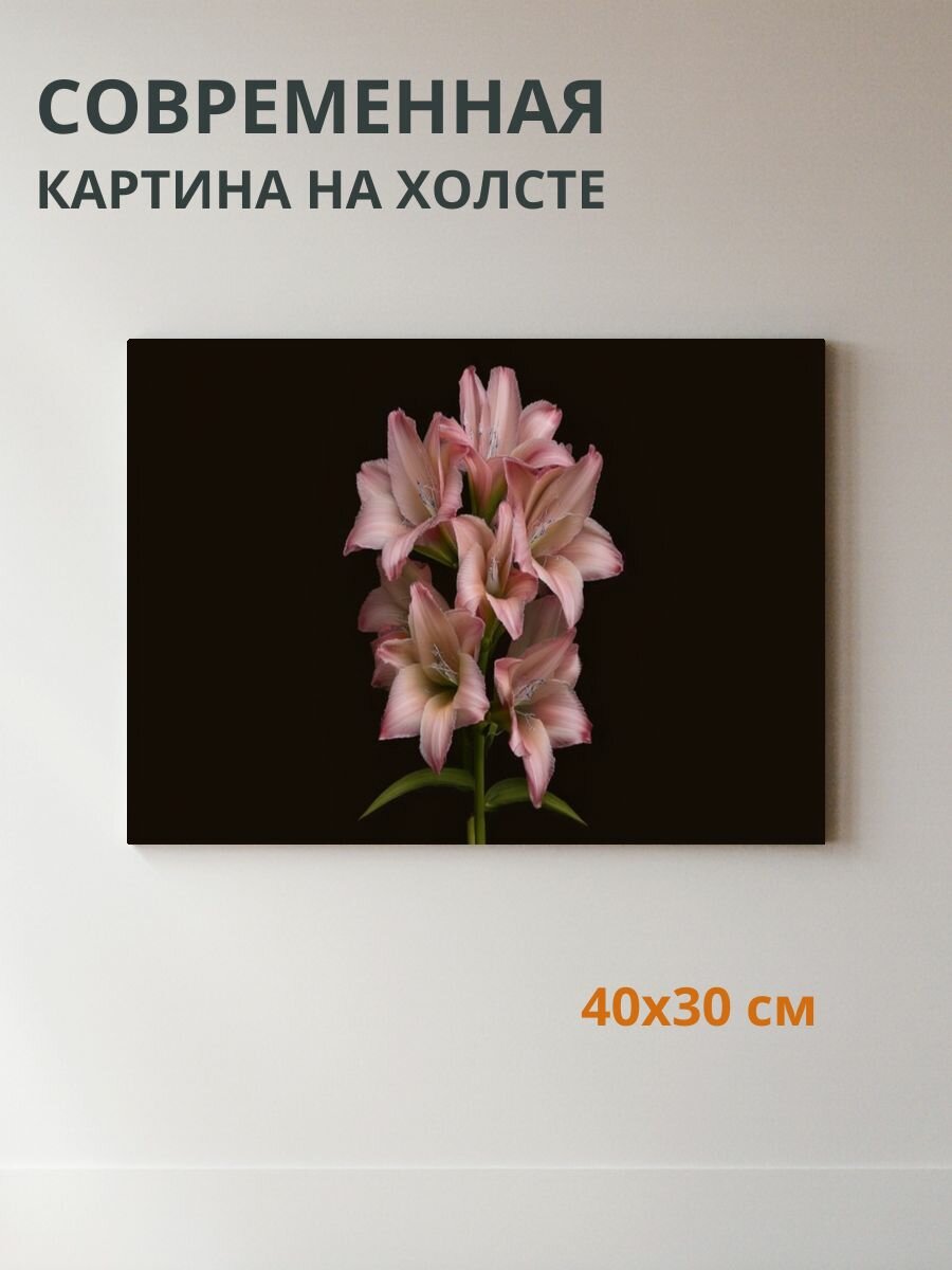 Картина на холсте Розовые цвета 40x30 см