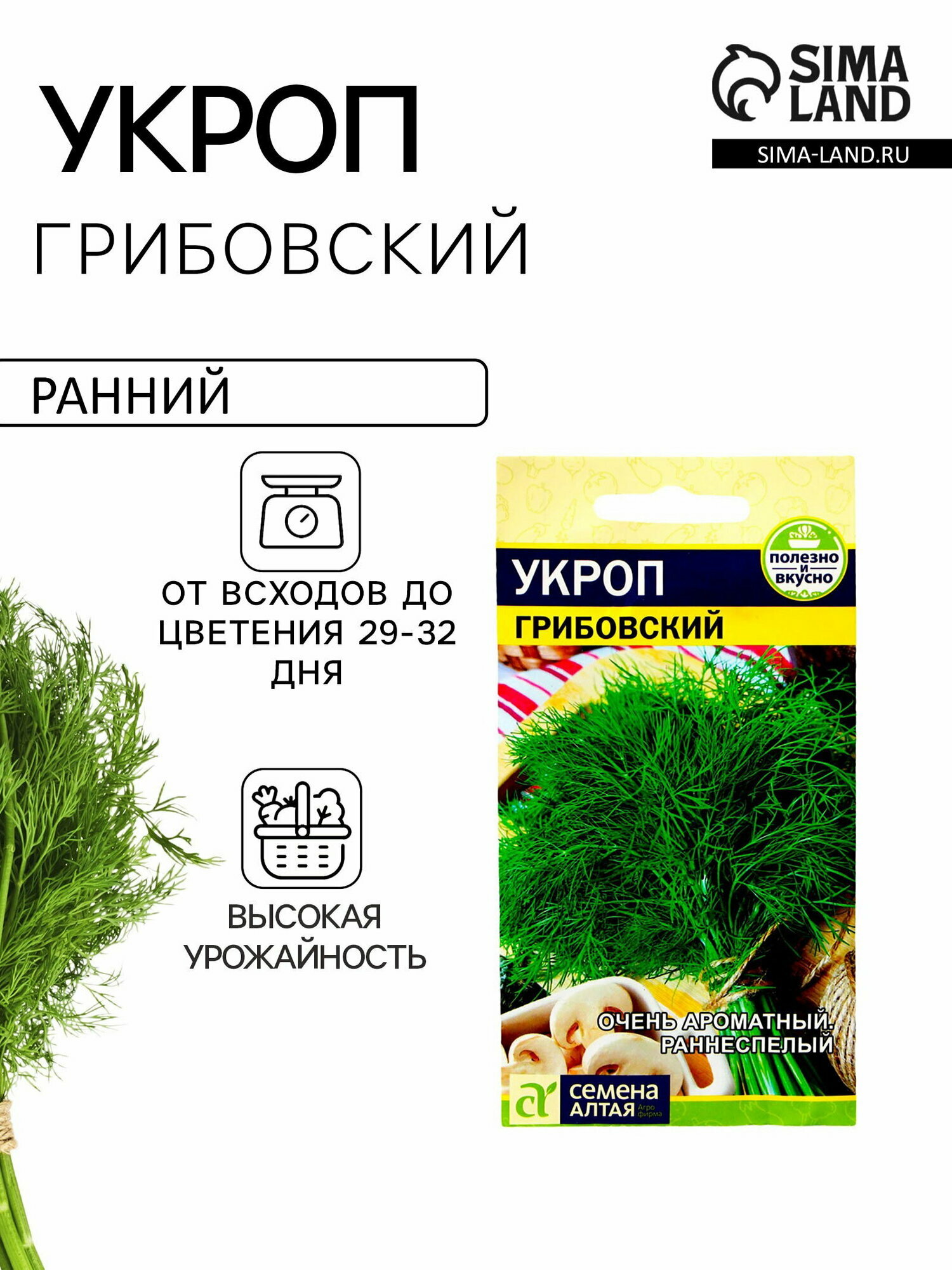 Семена Укроп "Грибовский", 2 г, вид: простые семена, урожай: август - сентябрь, 2 шт.