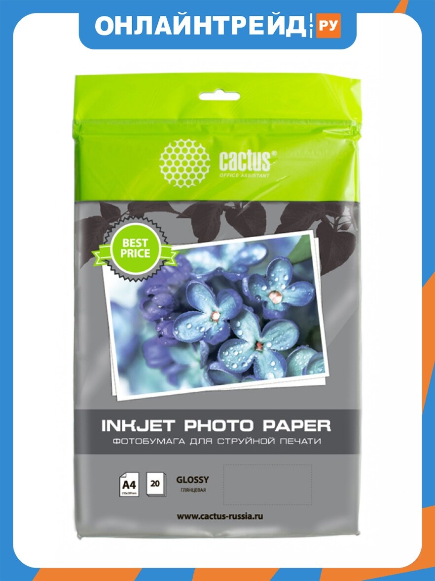 Фотобумага Cactus CS-GA413020ED A4/130г/м2/20л./белый глянцевое для струйной печати