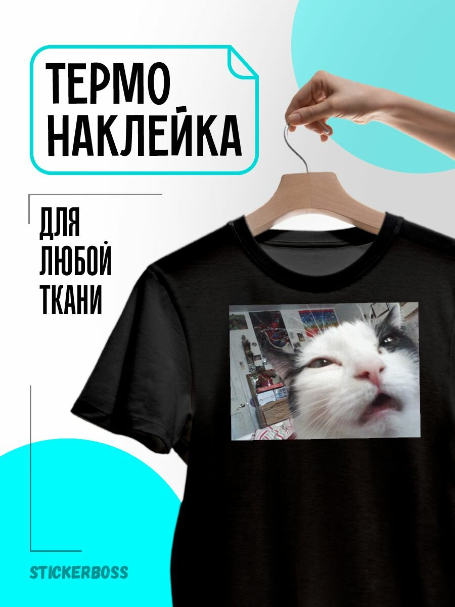 Термонаклейка термотрансфер на одежду кот мем