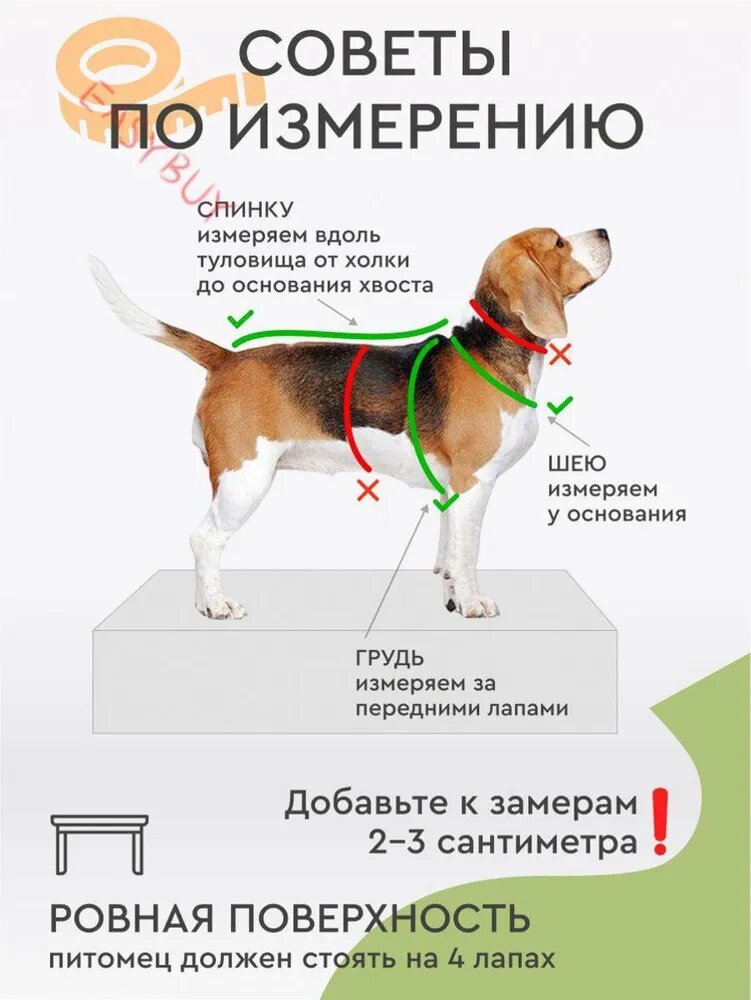 Одежда для животных — фото 1
